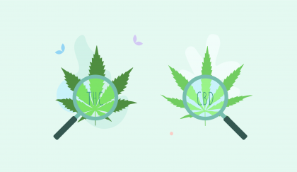 Hemp vs. Marijuana: What's the Difference?