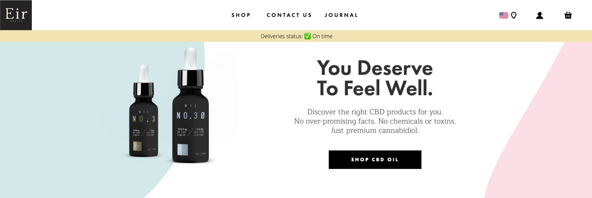 EIR Health Review — Complete Brand Guide & Review 2022