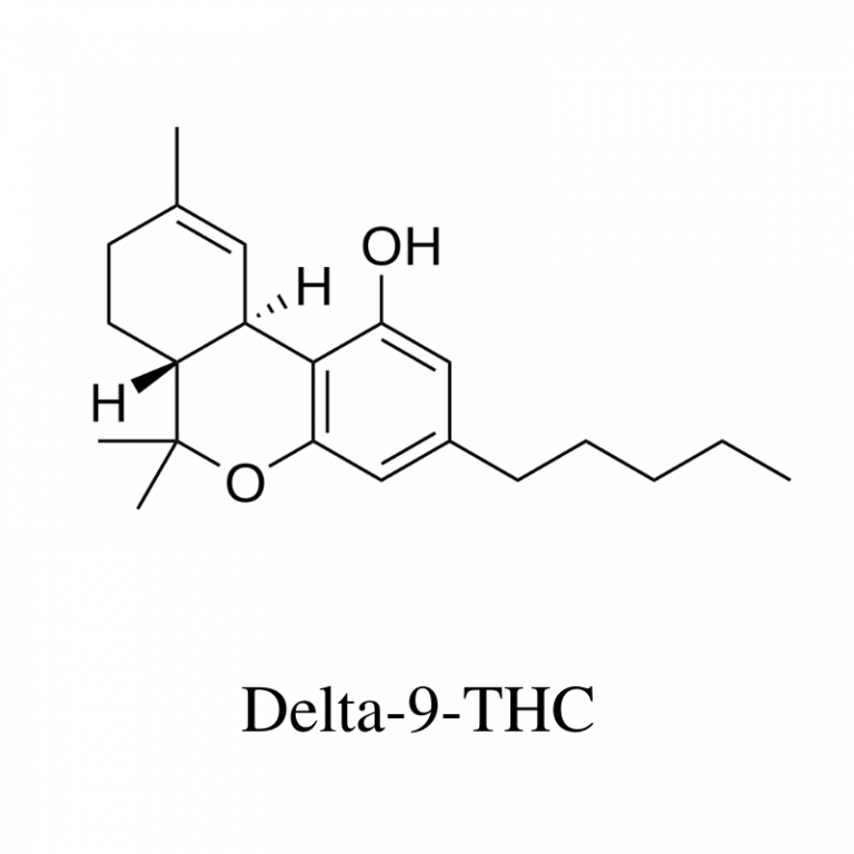 What is Delta 9 THC? (Best CBD Oil With THC)
