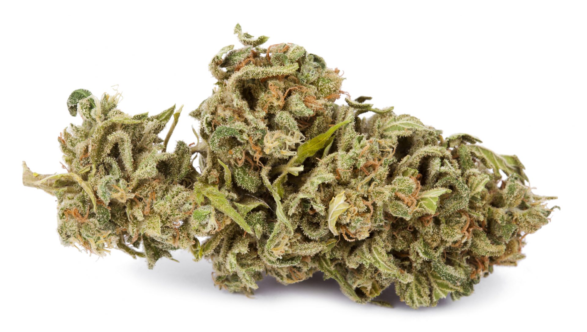 The Ultimate Guide to CBG Flower: CBG Strains & Best Products