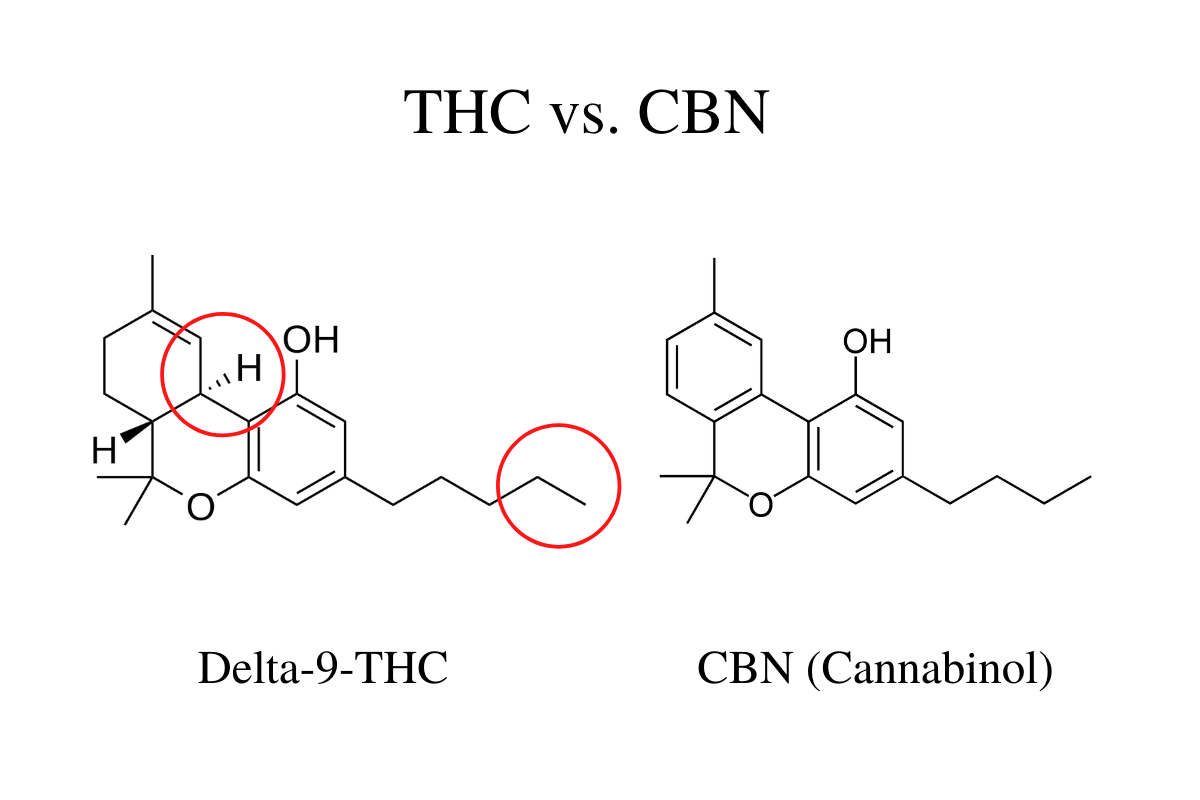 What is CBN (Cannabinol)? What Are The Benefits?