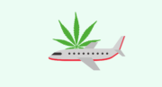 Traveling With CBD — Here's What You Need To Know