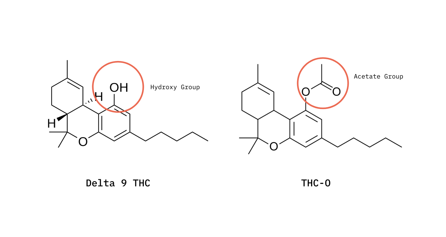 THC-O: The Psychedelic Cannabinoid