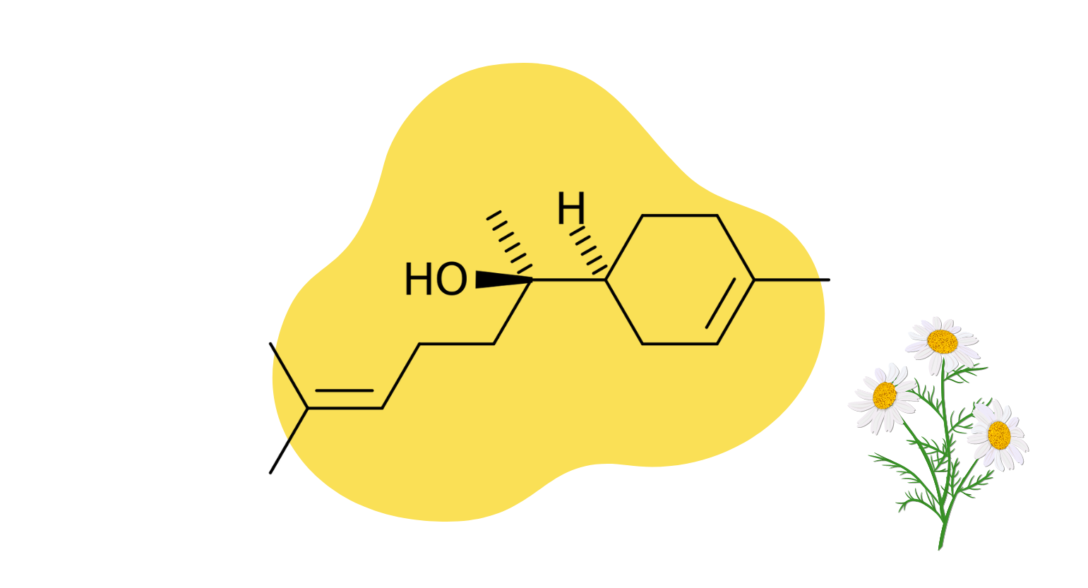 What Are Terpenes? Why Are They Important? — Daily CBD