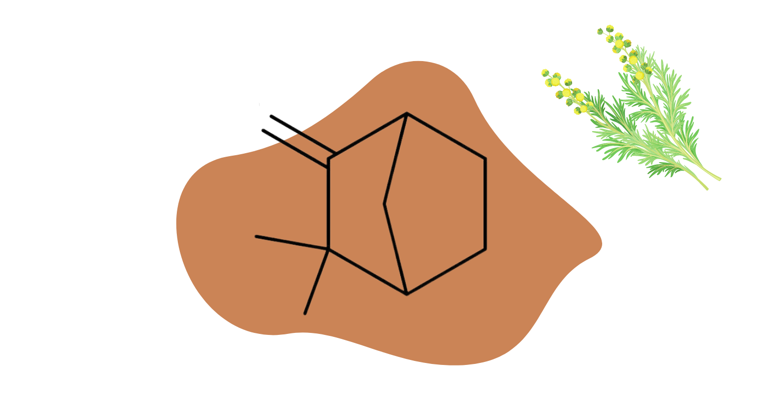 What Are Terpenes? Why Are They Important? — Daily CBD