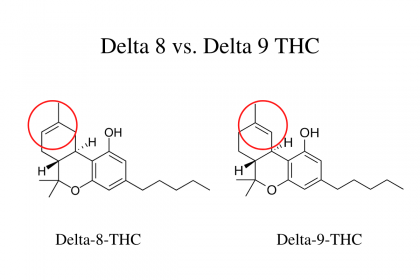 ¿Qué es el delta 9 THC? (Guía sobre el aceite de CBD con THC) - Daily ...