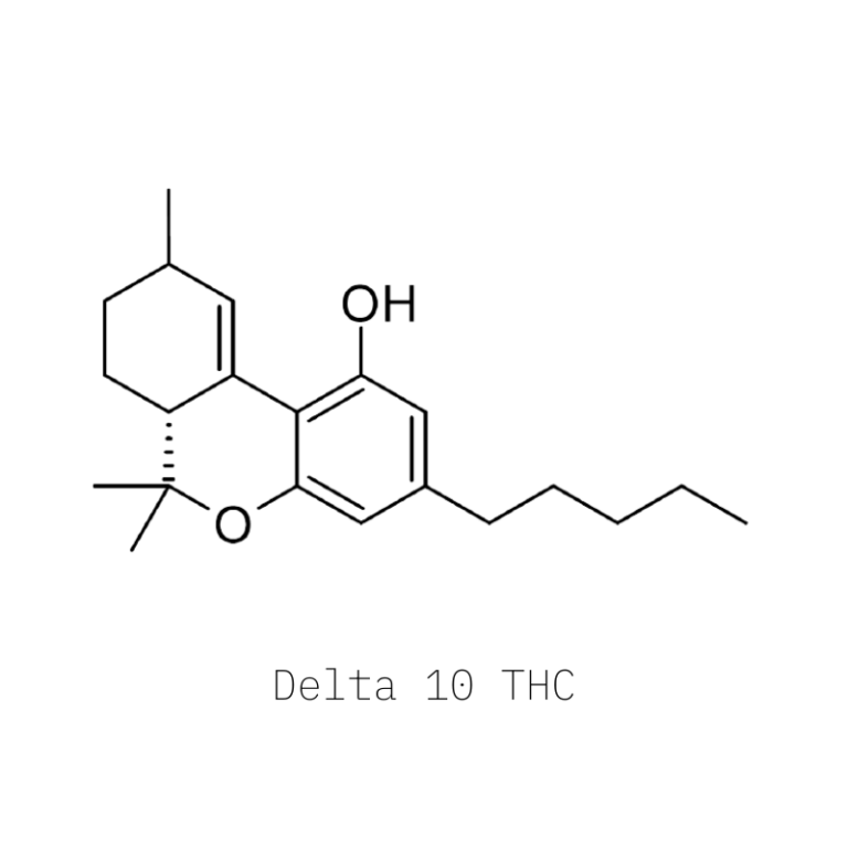 ¿Qué es el delta 10 THC? - Daily CBD – Español