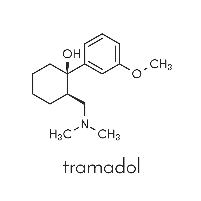 ¿El CBD interactúa con el tramadol (Ultram)? - Daily CBD – Español